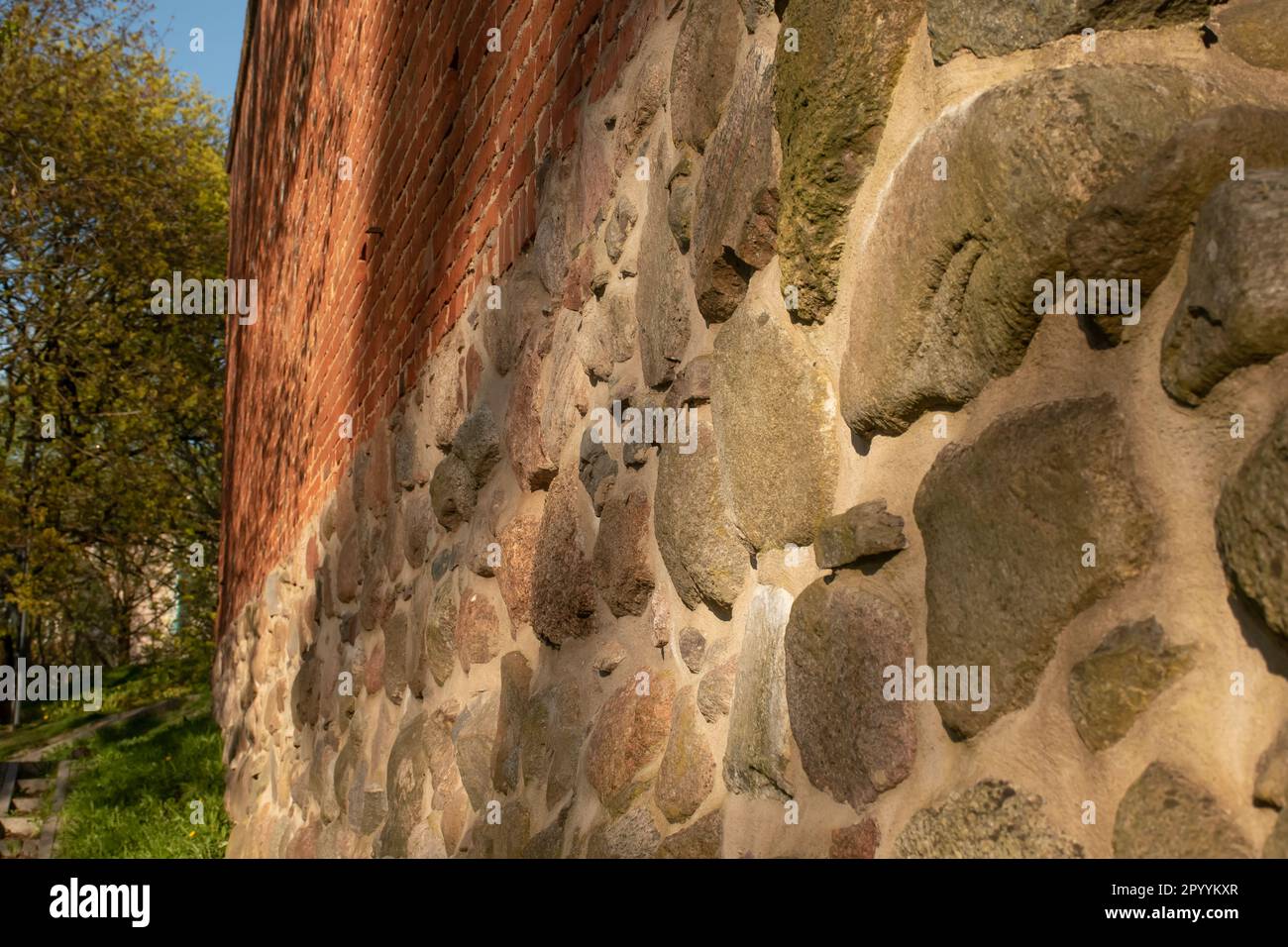 Brick and stone wall next to a tree Stock Photo - Alamy