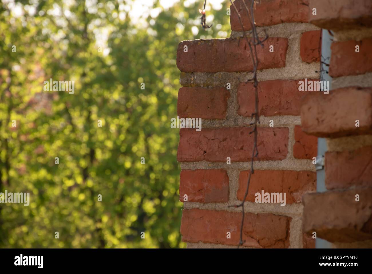 Red brick wall among trees Stock Photo - Alamy
