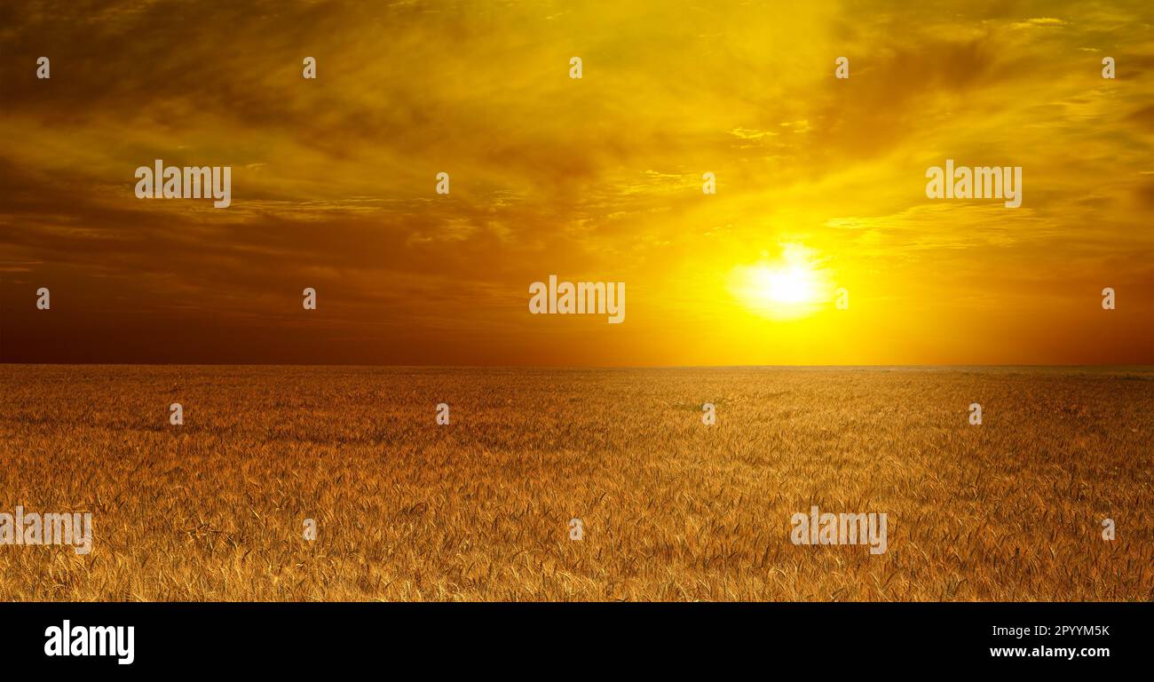 Panoramik view hi-res stock photography and images - Alamy