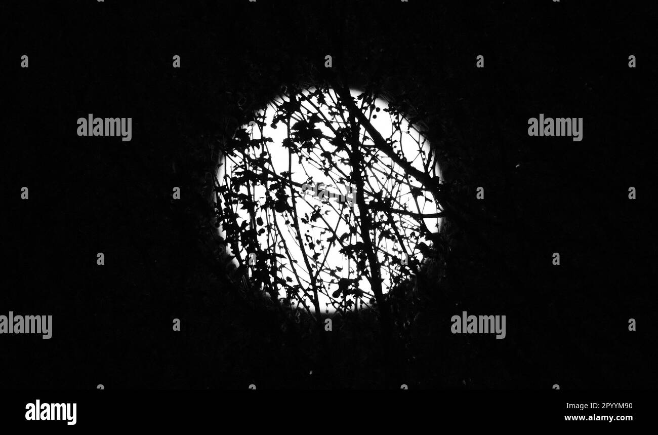 The full moon assends into the sky above the Kent town of Gravesend ...