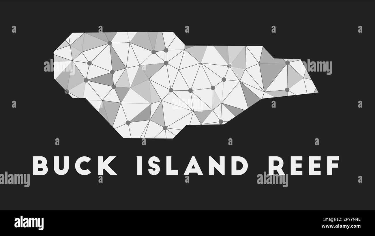 Buck Island Reef - communication network map. Buck Island Reef trendy ...