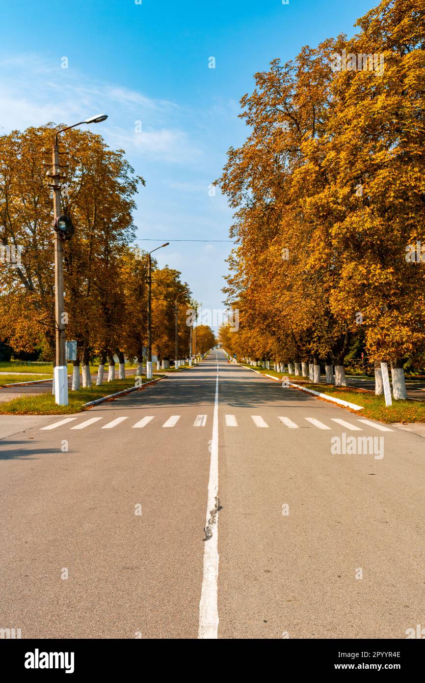 Empty asphalt road leading to Chernobyl Stock Photo - Alamy