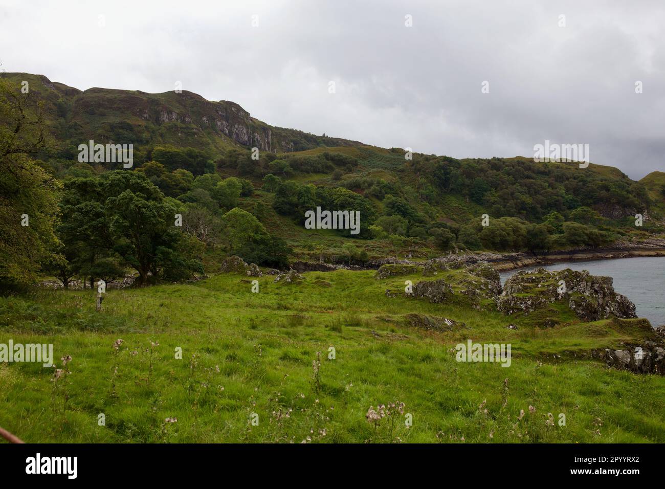 A stunning landscape of the Oban Coast in Scotland is depicted in this ...