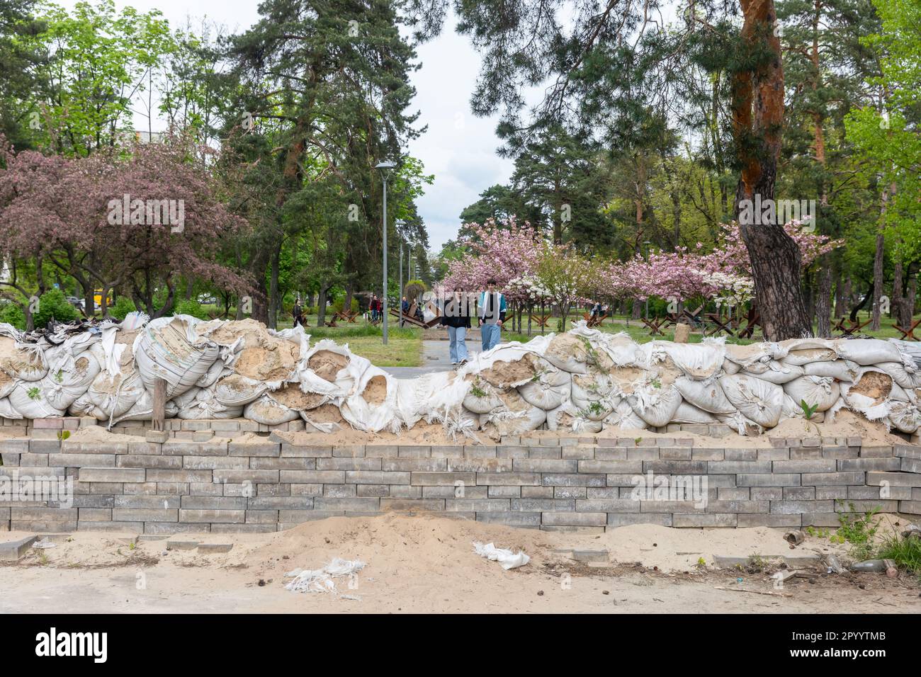 Concrete slabs and sandbags are seen in the alleys of the park. Sakura ...