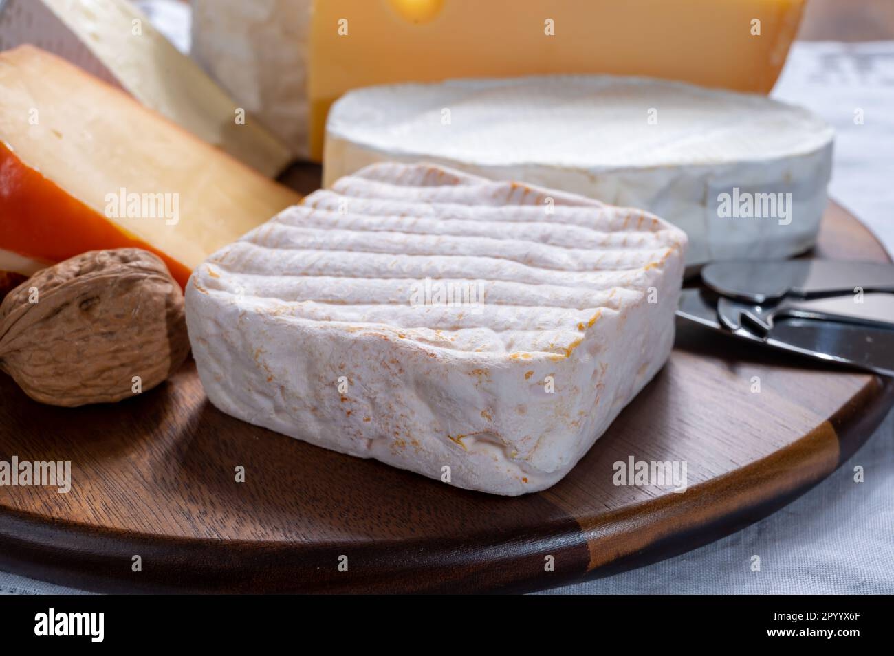 Collection of Belgian cheeses, soft yellow cow milk cheese with white ...