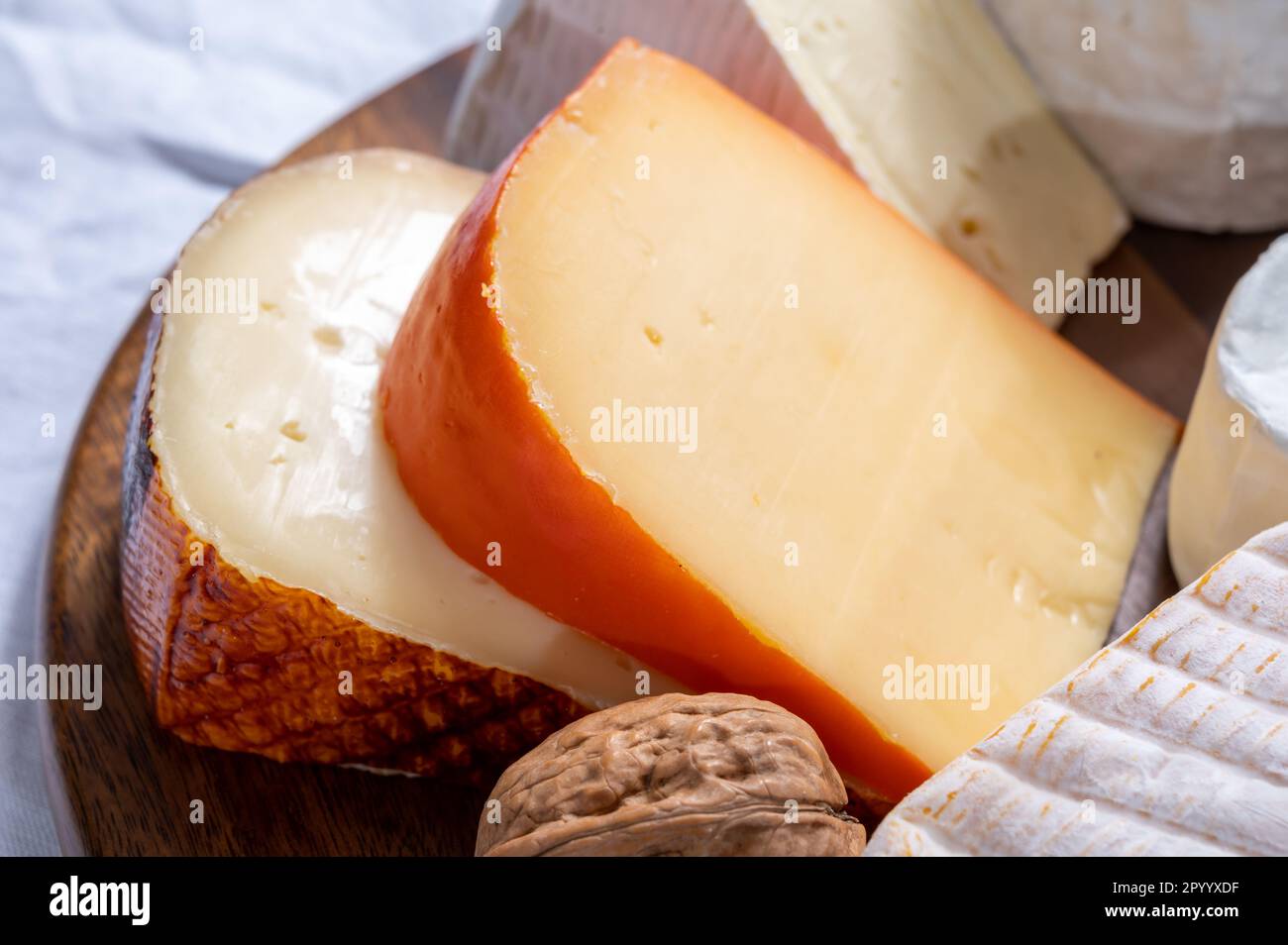 Collection of Belgian cheeses, soft yellow cow milk cheese with white ...