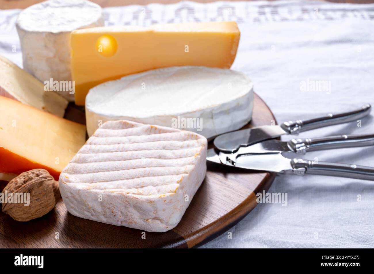 Collection of Belgian cheeses, soft yellow cow milk cheese with white ...