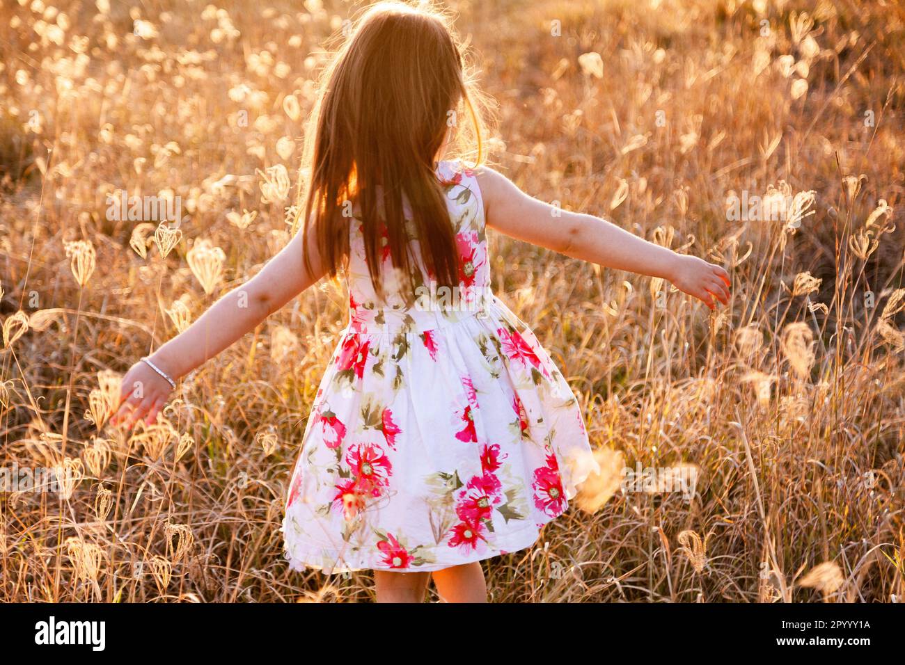 young girl spinning in golden grass Stock Photo - Alamy