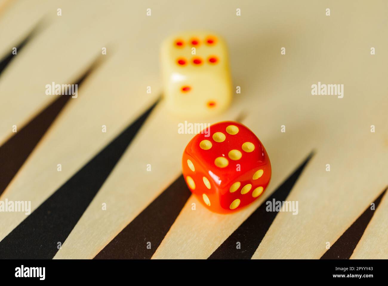 pair of game die for indoor board game on backgammon board Stock Photo ...
