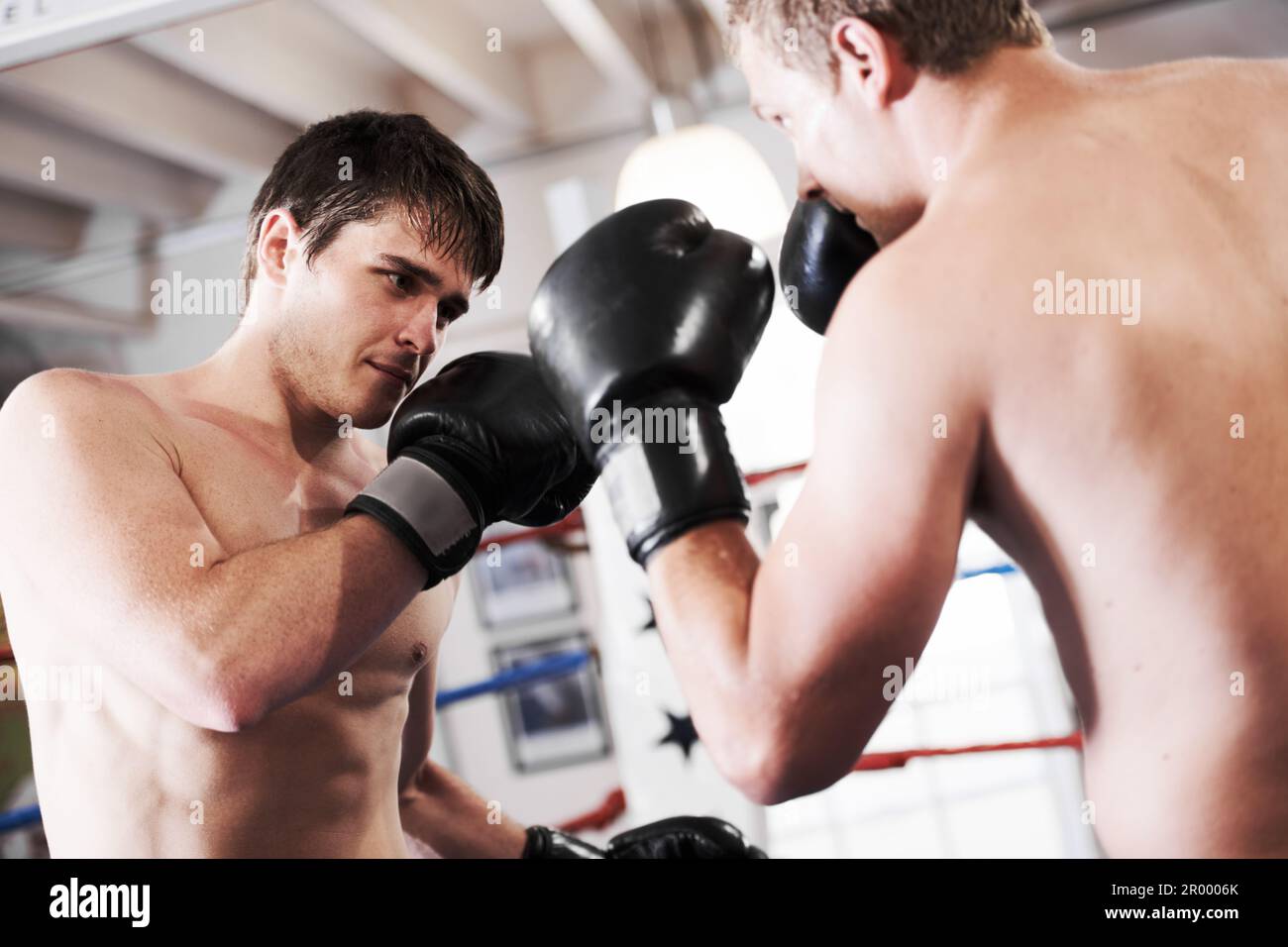 Trying to find an opening. Two young boxers fighting it out in the ring ...