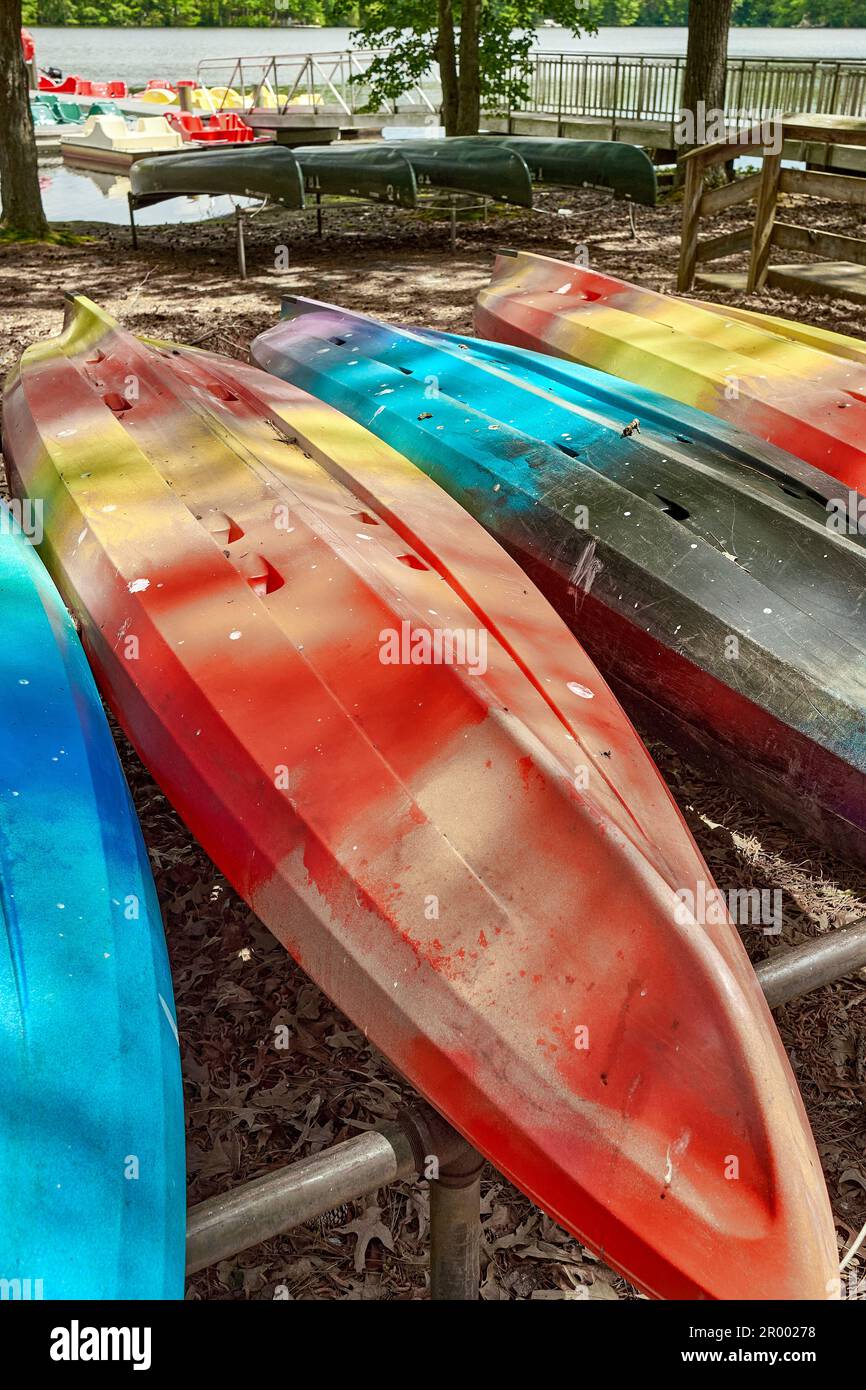 Colorful kayaks stored upside down at a wooded lakeside, while pedal ...