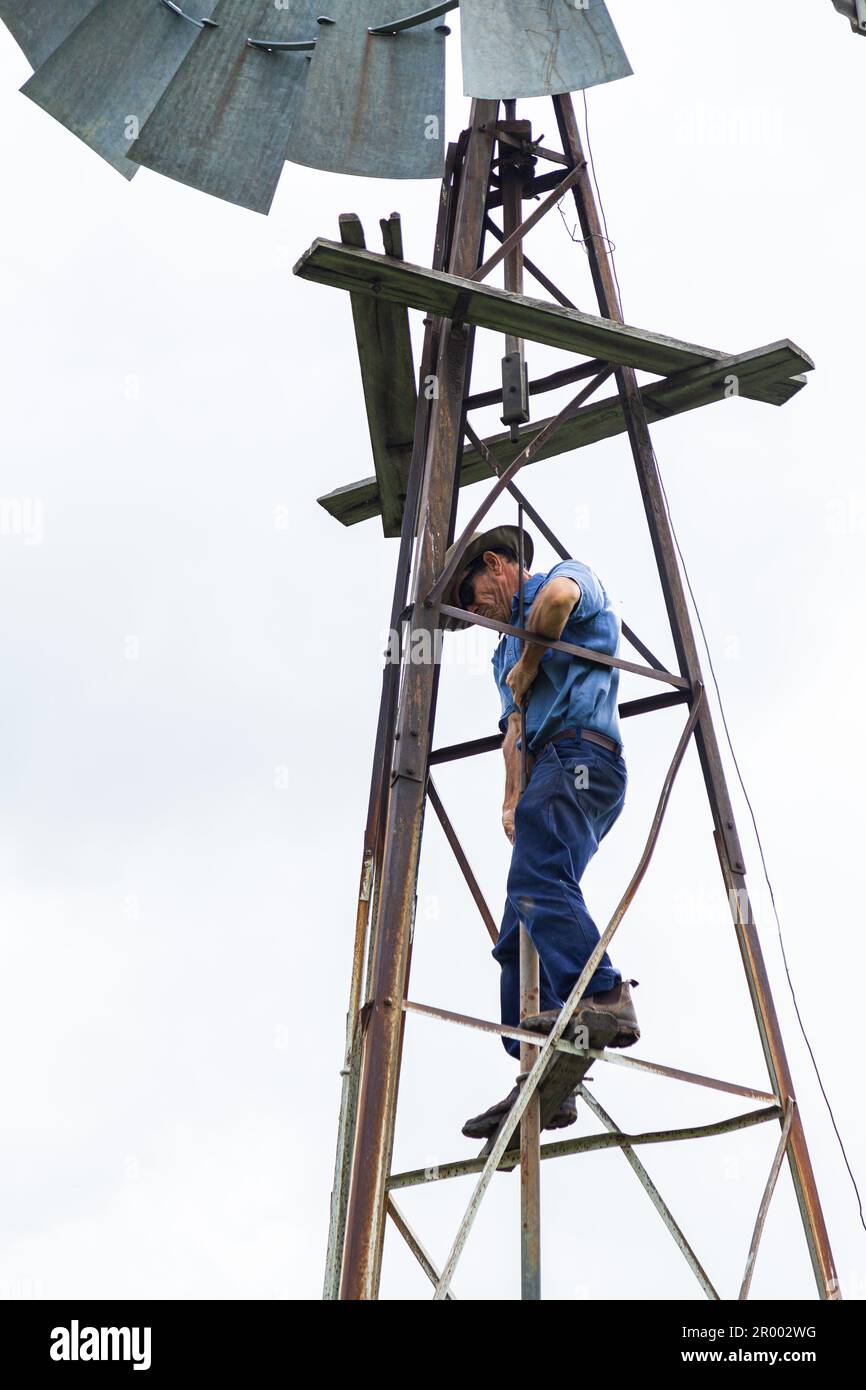 Australian farmer climbing up windmill to do repairs hi-res stock ...