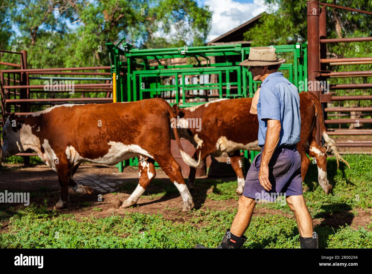 Sorting yards hi-res stock photography and images - Alamy
