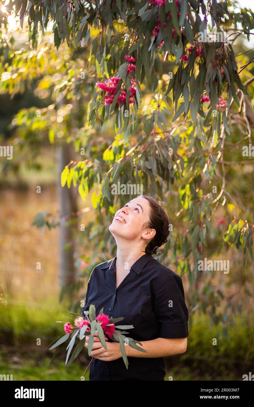 Australian flowers hi-res stock photography and images - Alamy