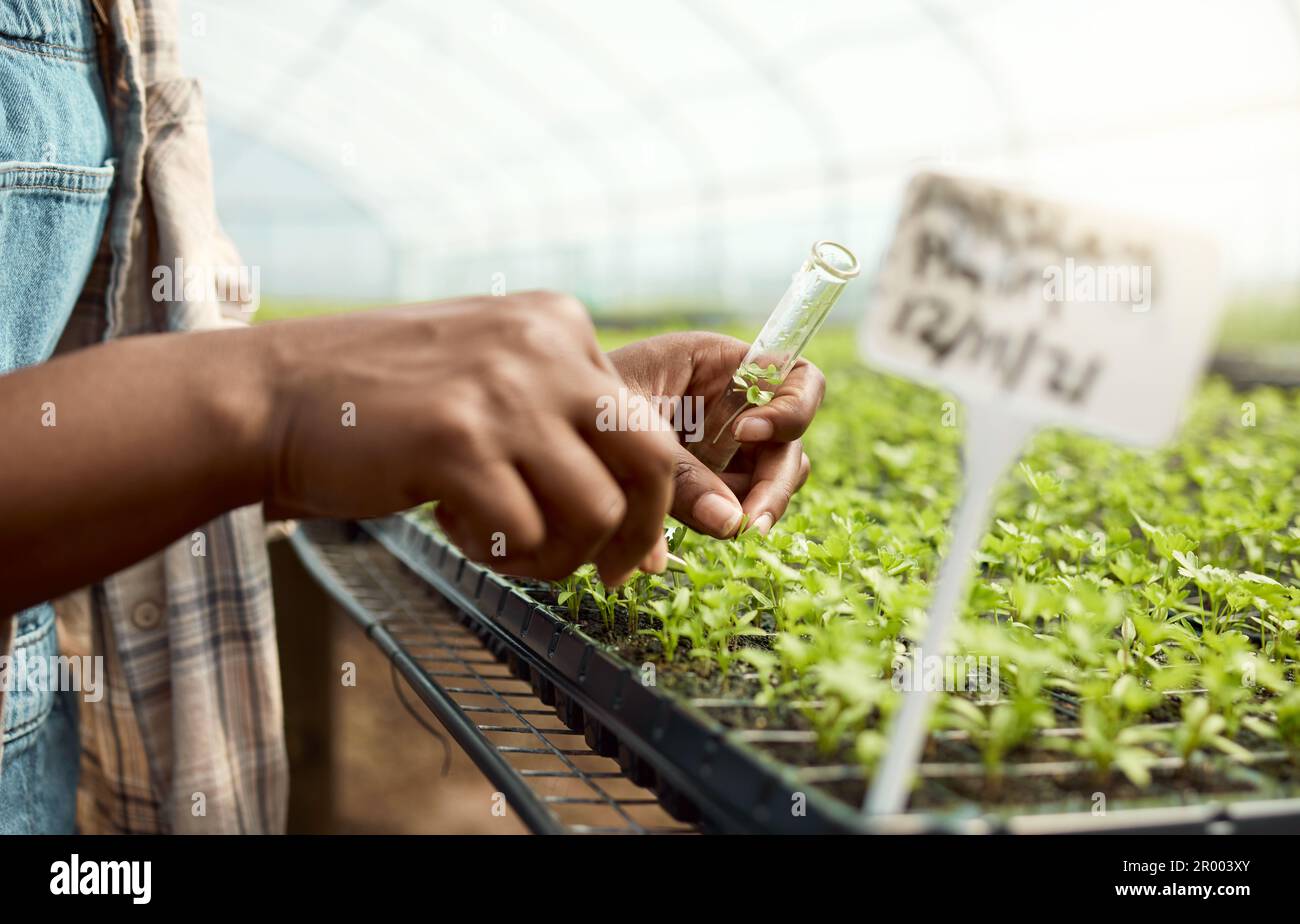 Farmer collecting plant sample. Closeup of hand of botanist collecting ...