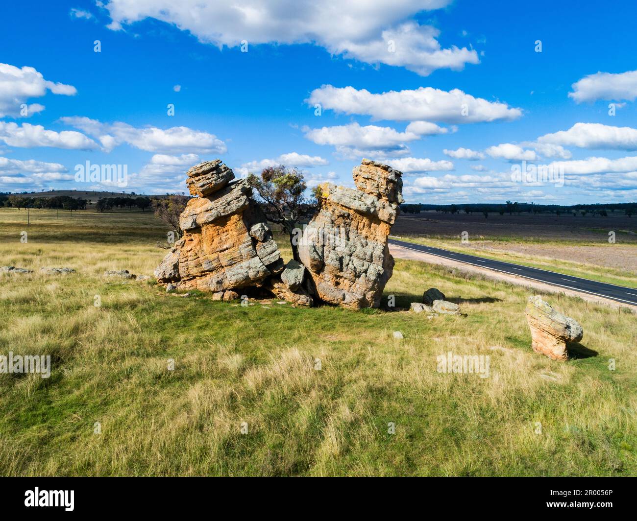 Rock with tree growing hi-res stock photography and images - Alamy