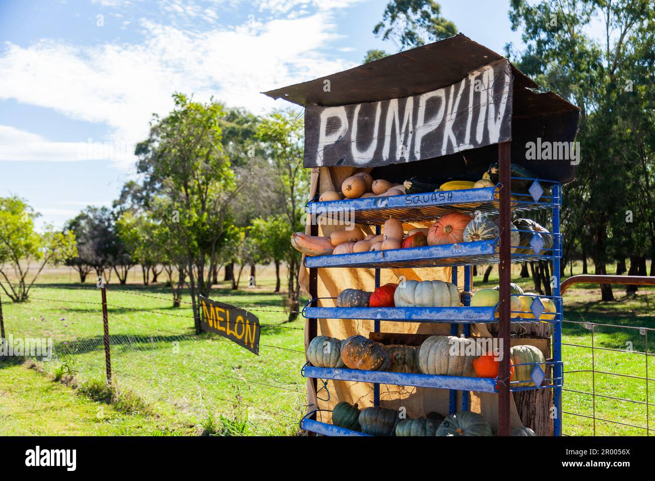 Farm grown pumpkin stand on roadside in rural Australia NSW with fresh ...