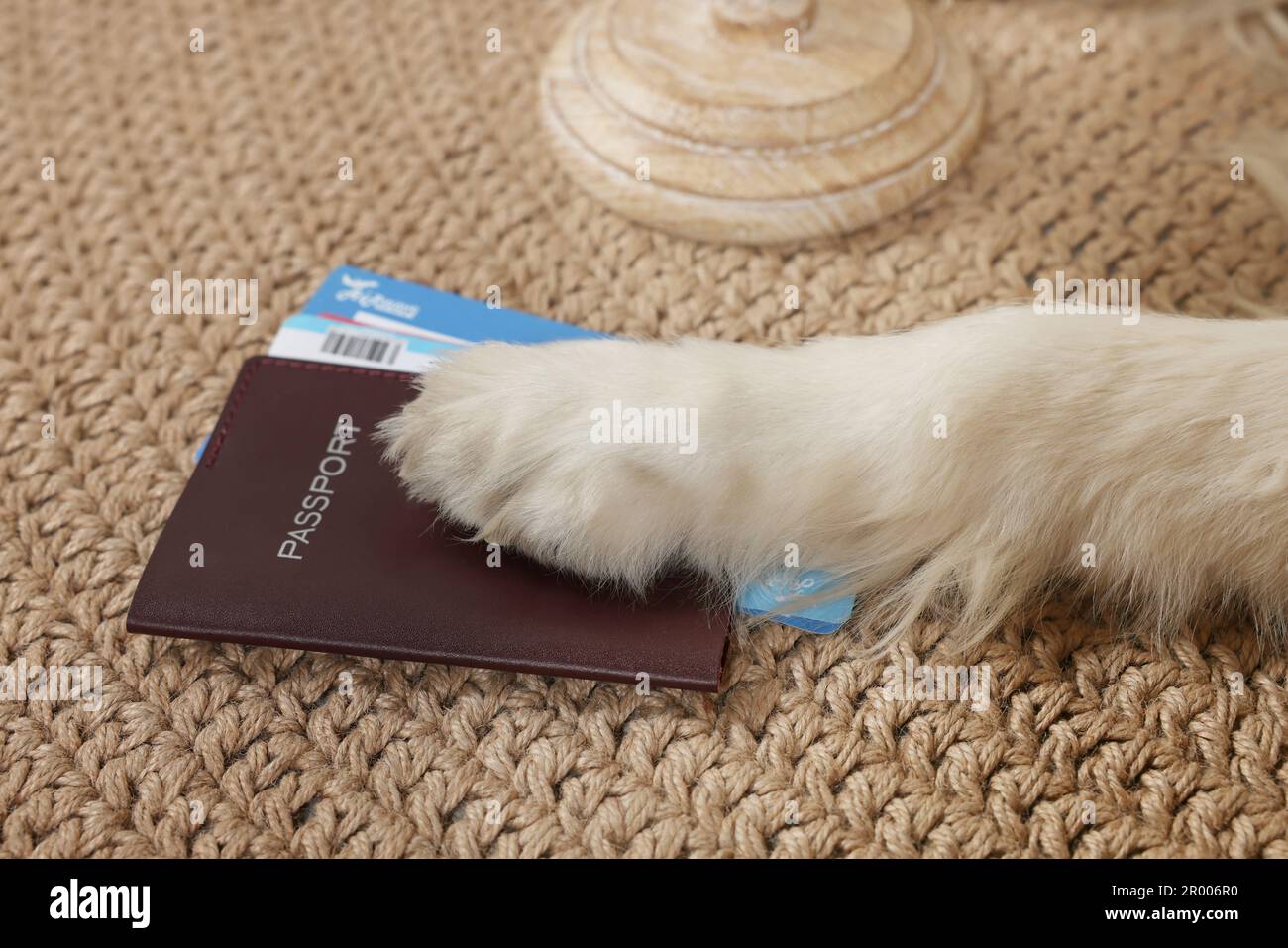 Dog near passport and tickets at home, closeup. Travelling with pet ...