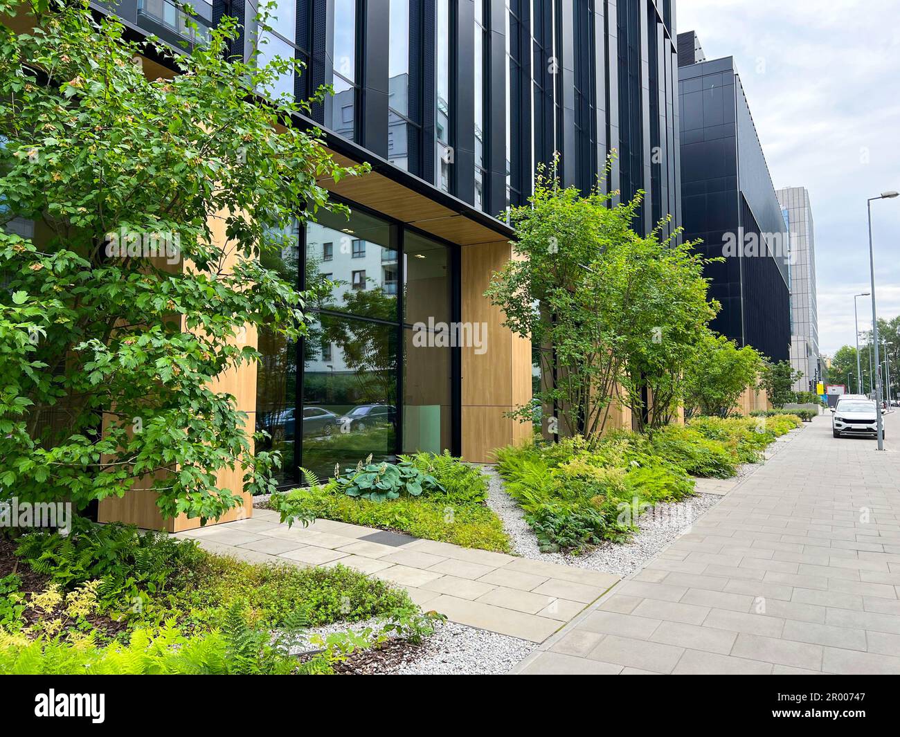 City street with beautiful buildings, pavement and green plants Stock ...