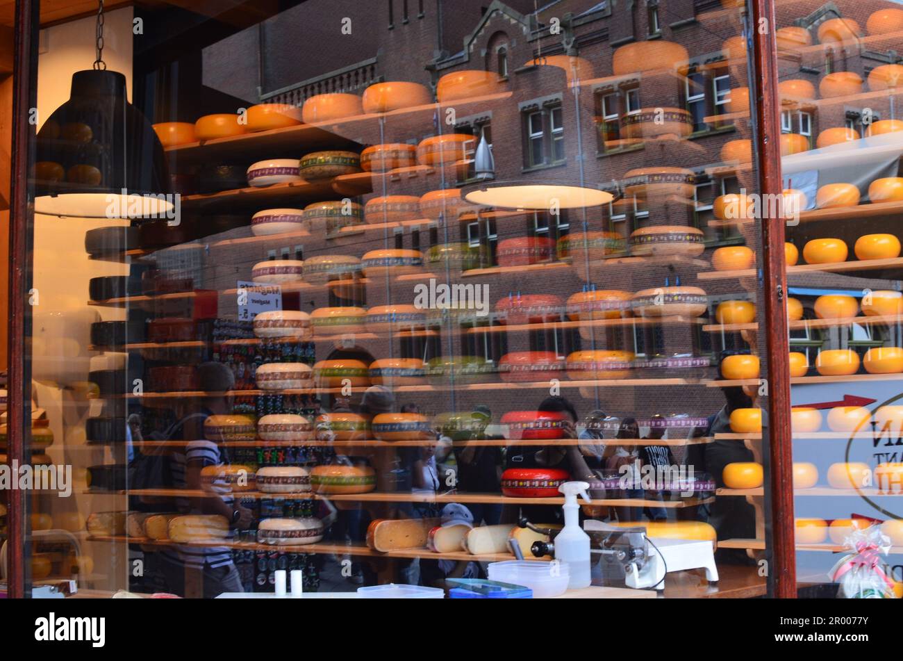 Amsterdam, Netherlands - June 25, 2022: Many cheese wheels on shelves ...
