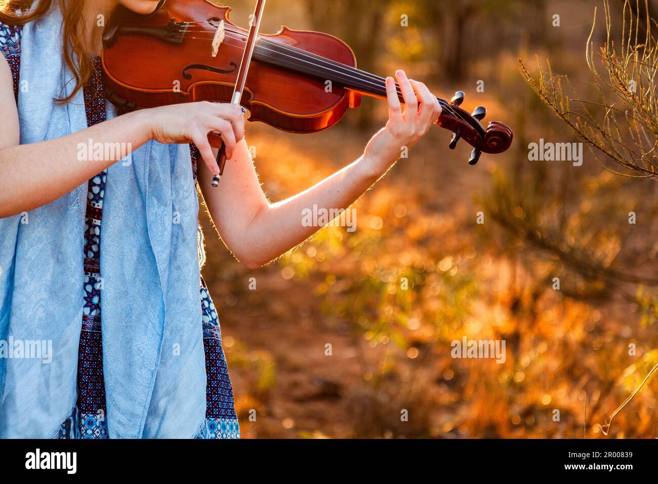 Young woman playing a violin musical instrument outside in nature ...