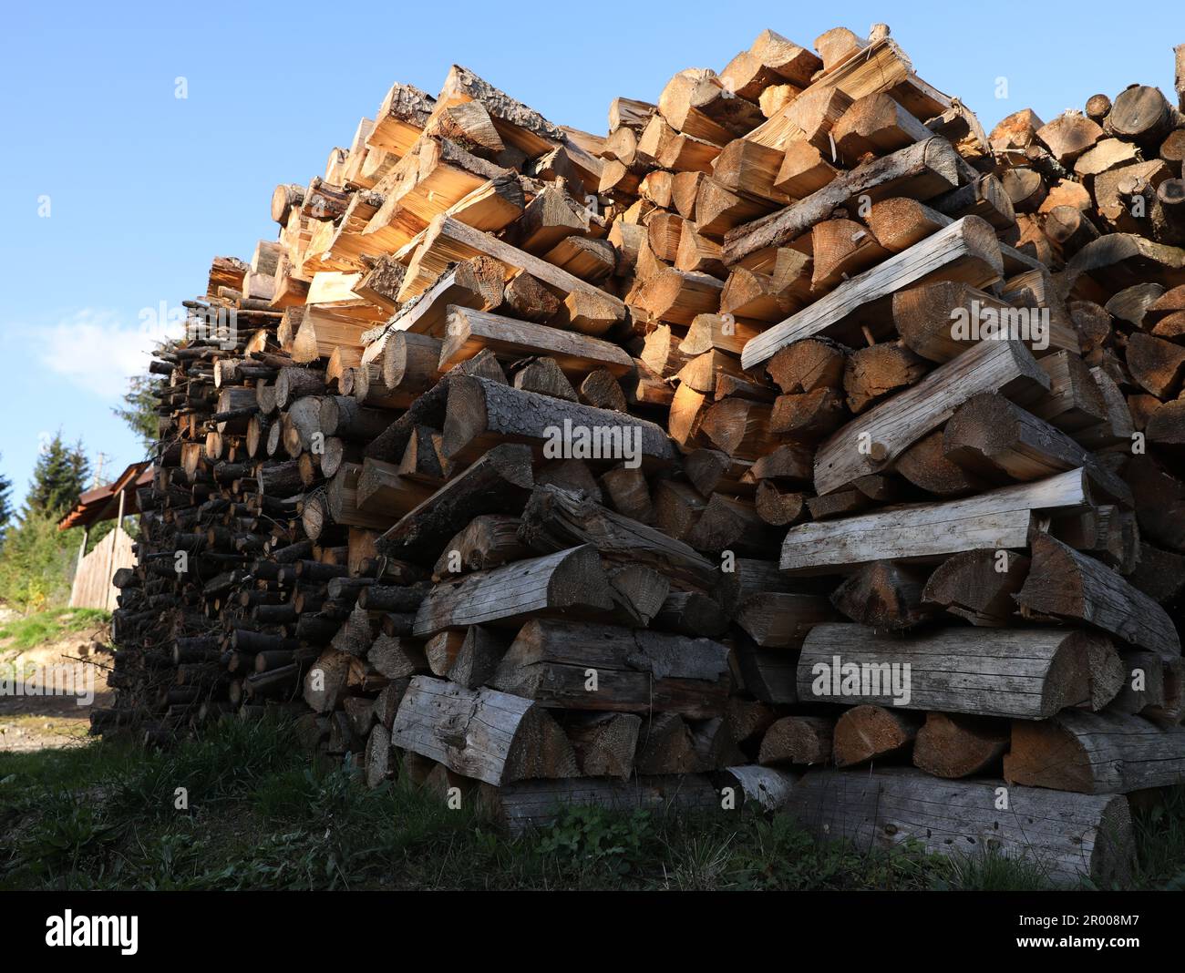 Piles of dry stacked firewood in grass outdoors Stock Photo - Alamy
