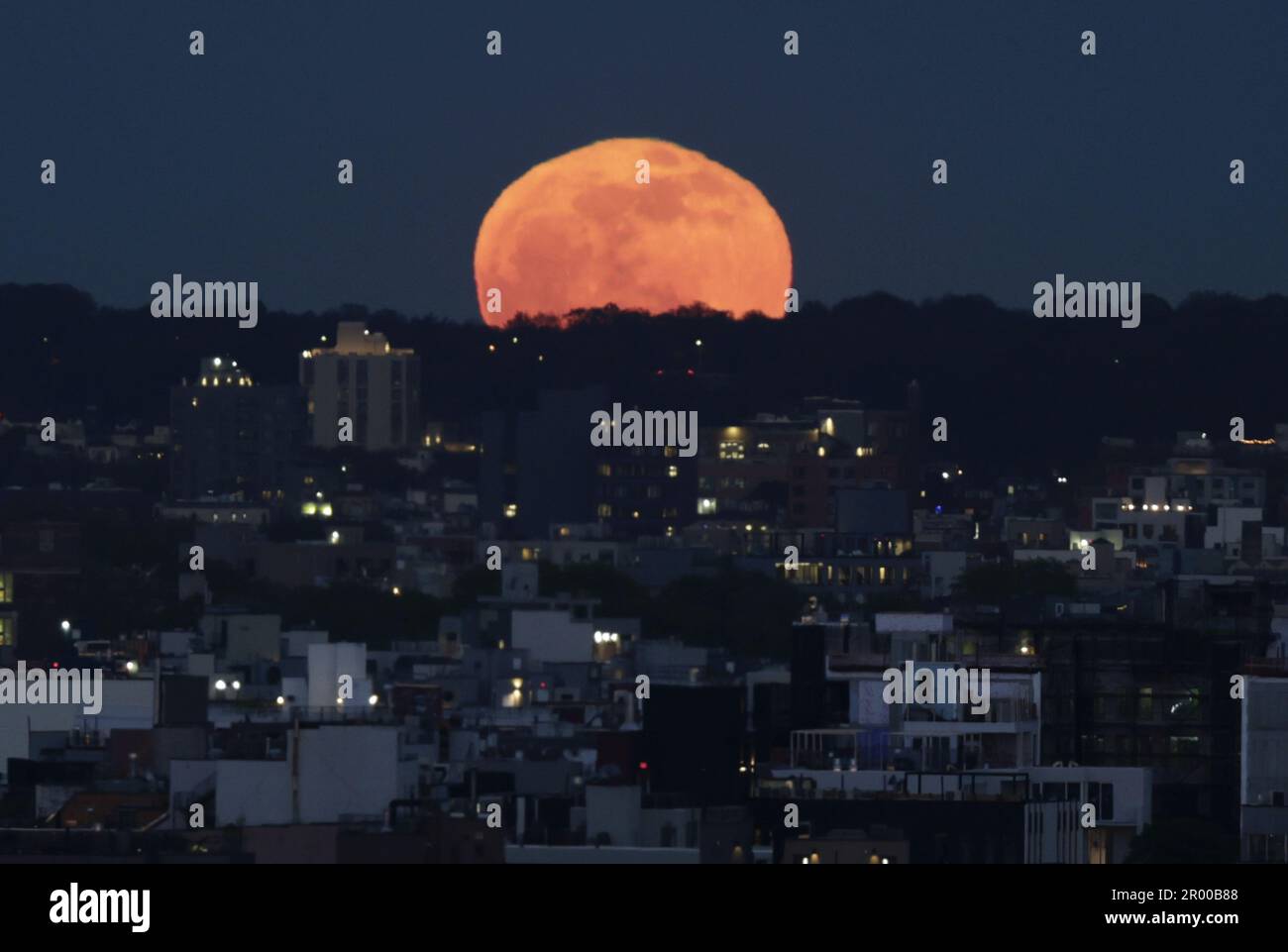 New York, United States. 05th May, 2023. A full "Flower Moon" rises ...