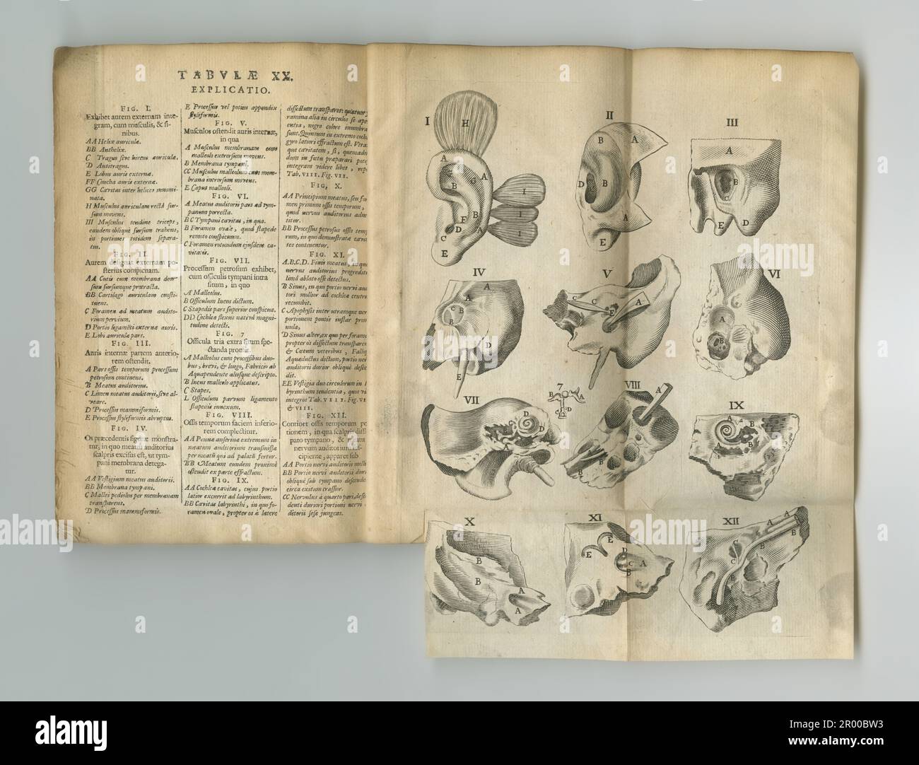 Weathered anatomy journal. An old anatomy book with its pages on ...