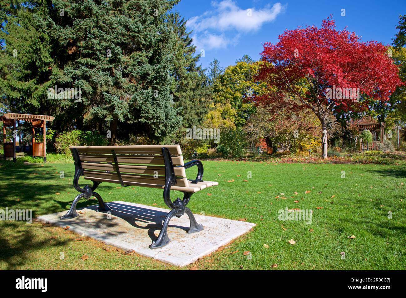 A park bench in a public park in Toronto, Ontario, Canada Stock Photo ...