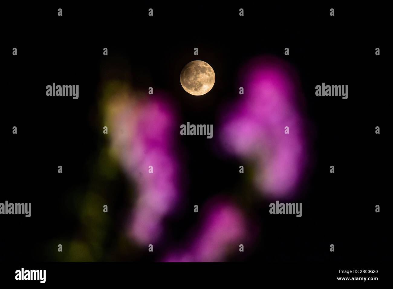 Penumbral Lunar Eclipse