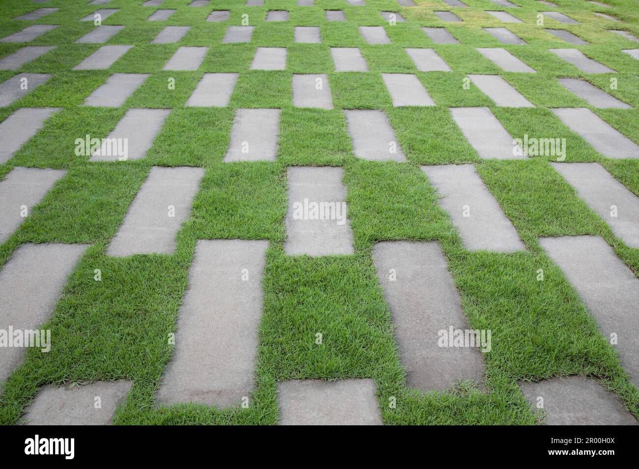 Park walk tiles floor hi-res stock photography and images - Alamy