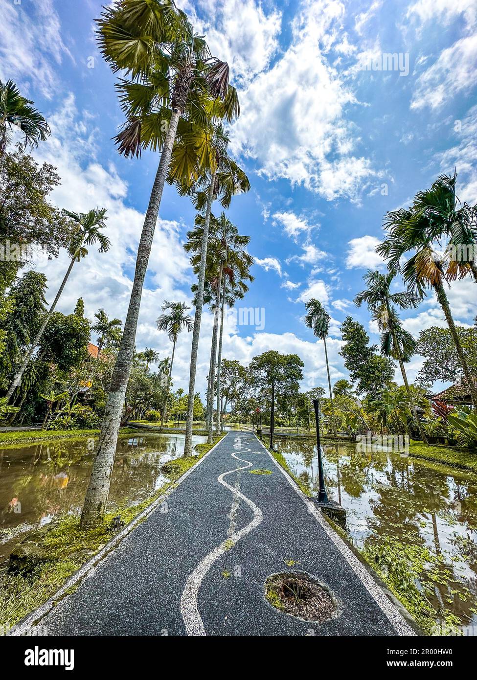 Crispy duck lunch at restaurant in Ubud, Bali, Indonesia Stock Photo ...