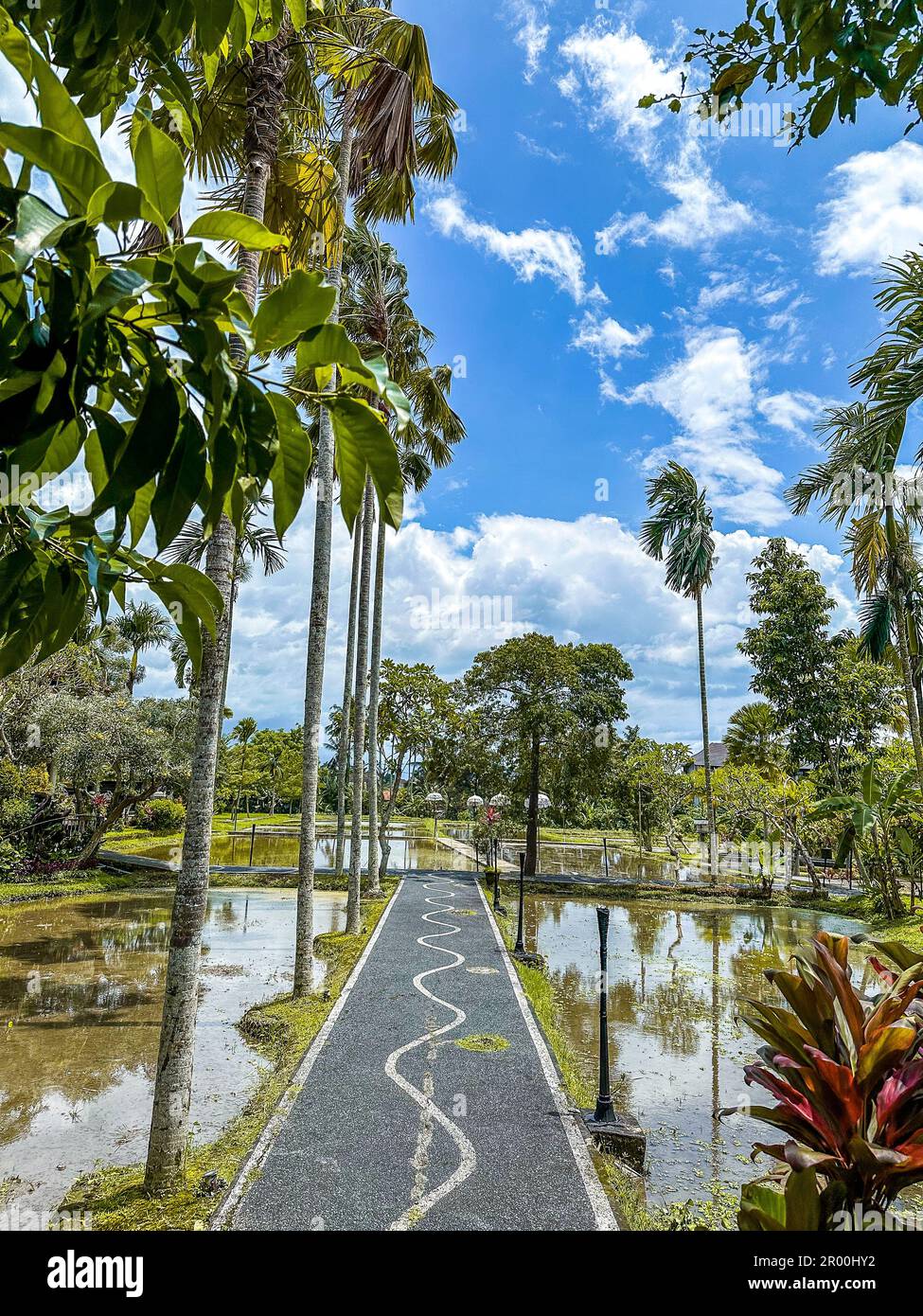 Crispy duck lunch at restaurant in Ubud, Bali, Indonesia Stock Photo ...