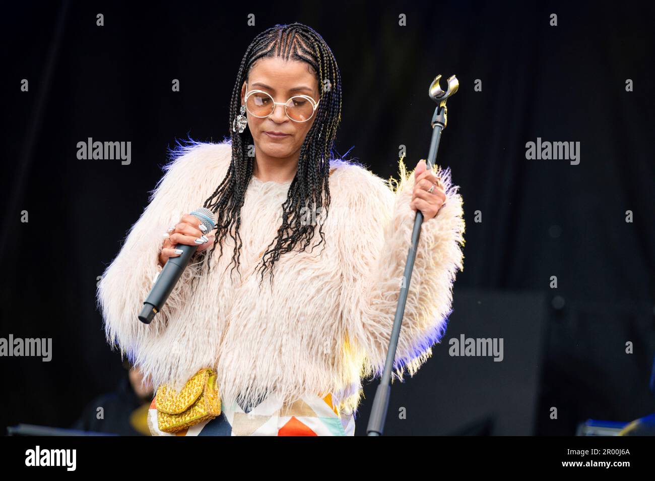 Ladybug From Digable Planets