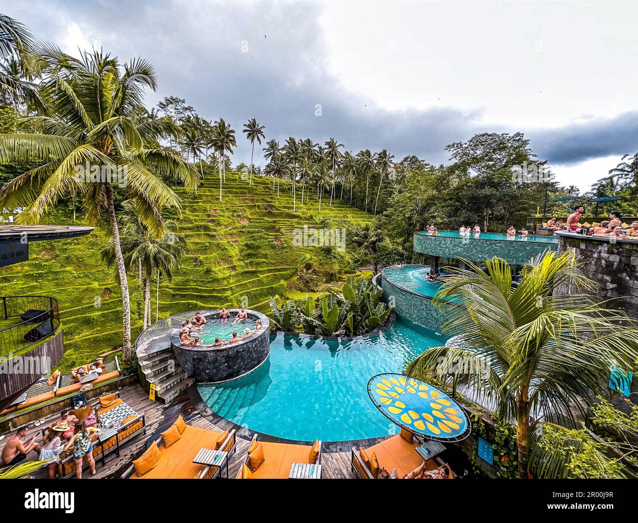 View of rice terraces and pool from cretya, Ubud, Bali, Indonesia Stock Photo - Alamy