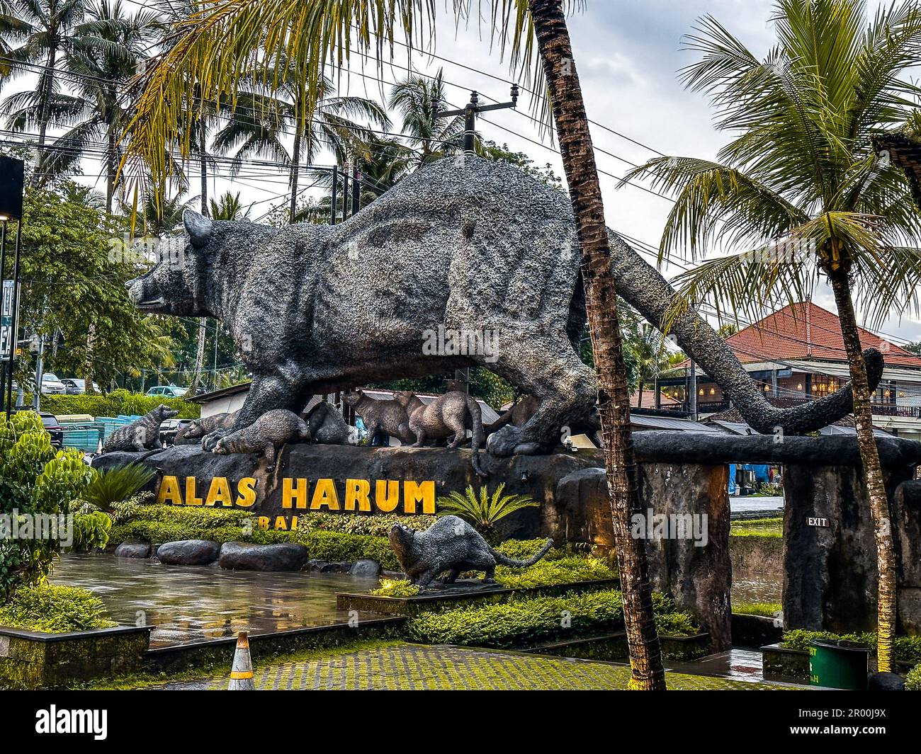 View of rice terraces and pool from cretya, Ubud, Bali, Indonesia Stock ...