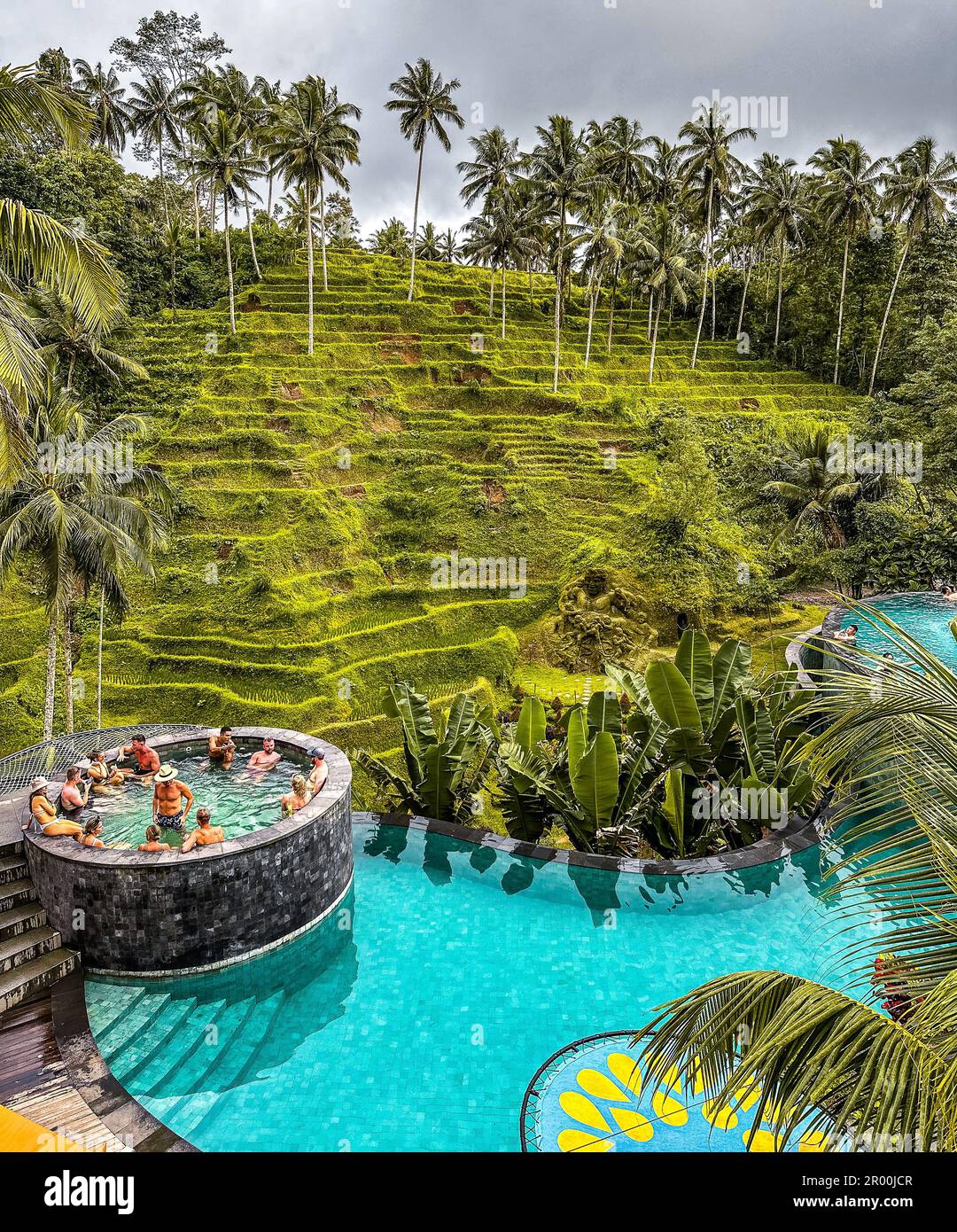 View of rice terraces and pool from cretya, Ubud, Bali, Indonesia Stock ...