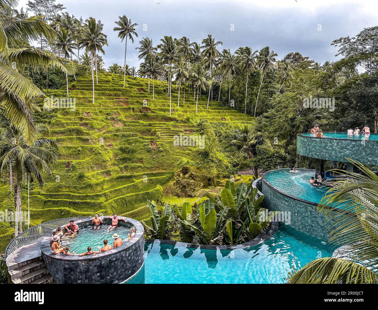 View of rice terraces and pool from cretya, Ubud, Bali, Indonesia Stock ...