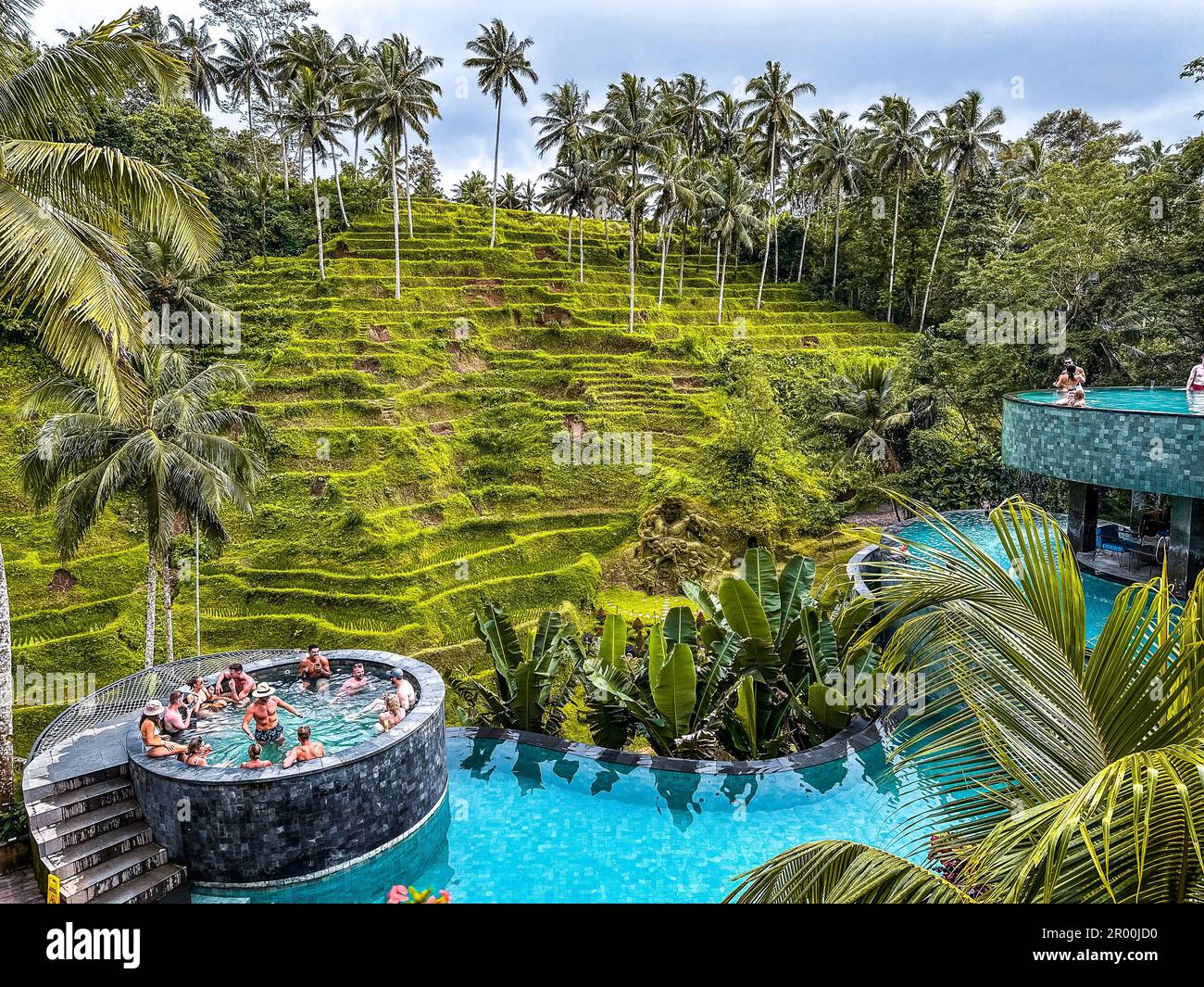 View of rice terraces and pool from cretya, Ubud, Bali, Indonesia Stock ...