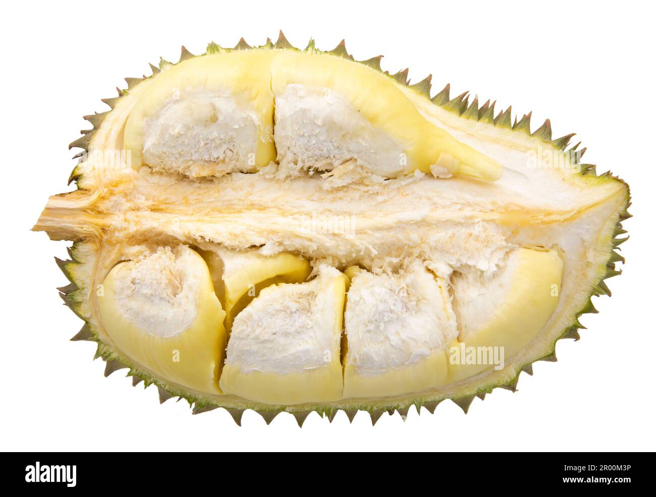 Ripe durian isolated on white background Stock Photo - Alamy