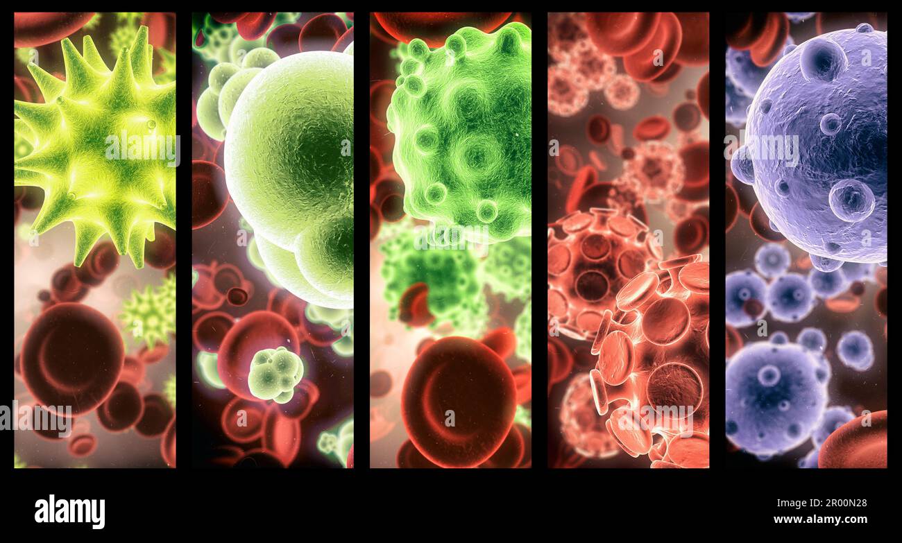 Virus, bacteria and cell structure of disease closeup in series for ...