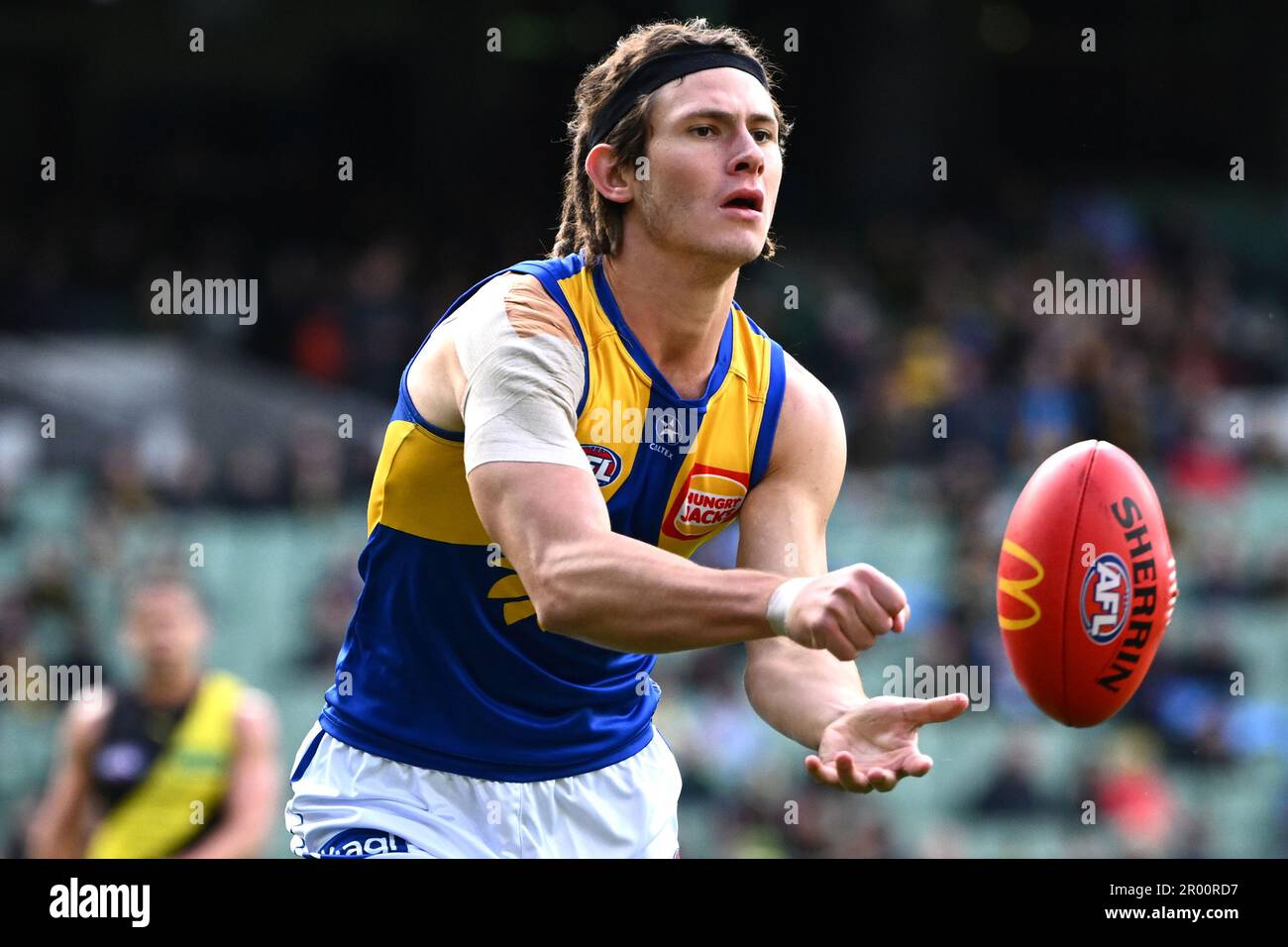 Jai Culley of West Coast during the AFL Round 8 match between the ...