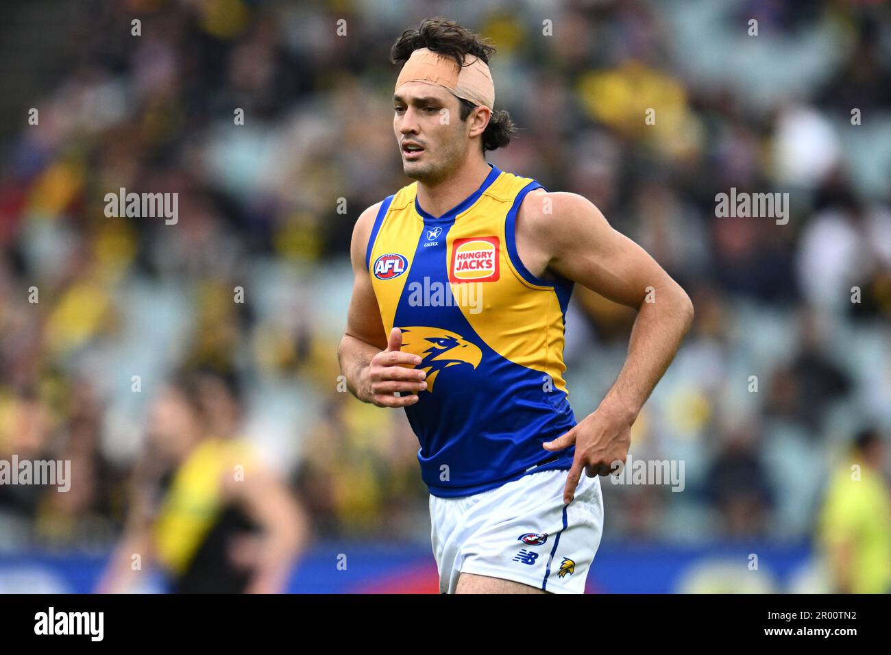 Tom Barrass of West Coast during the AFL Round 8 match between the ...
