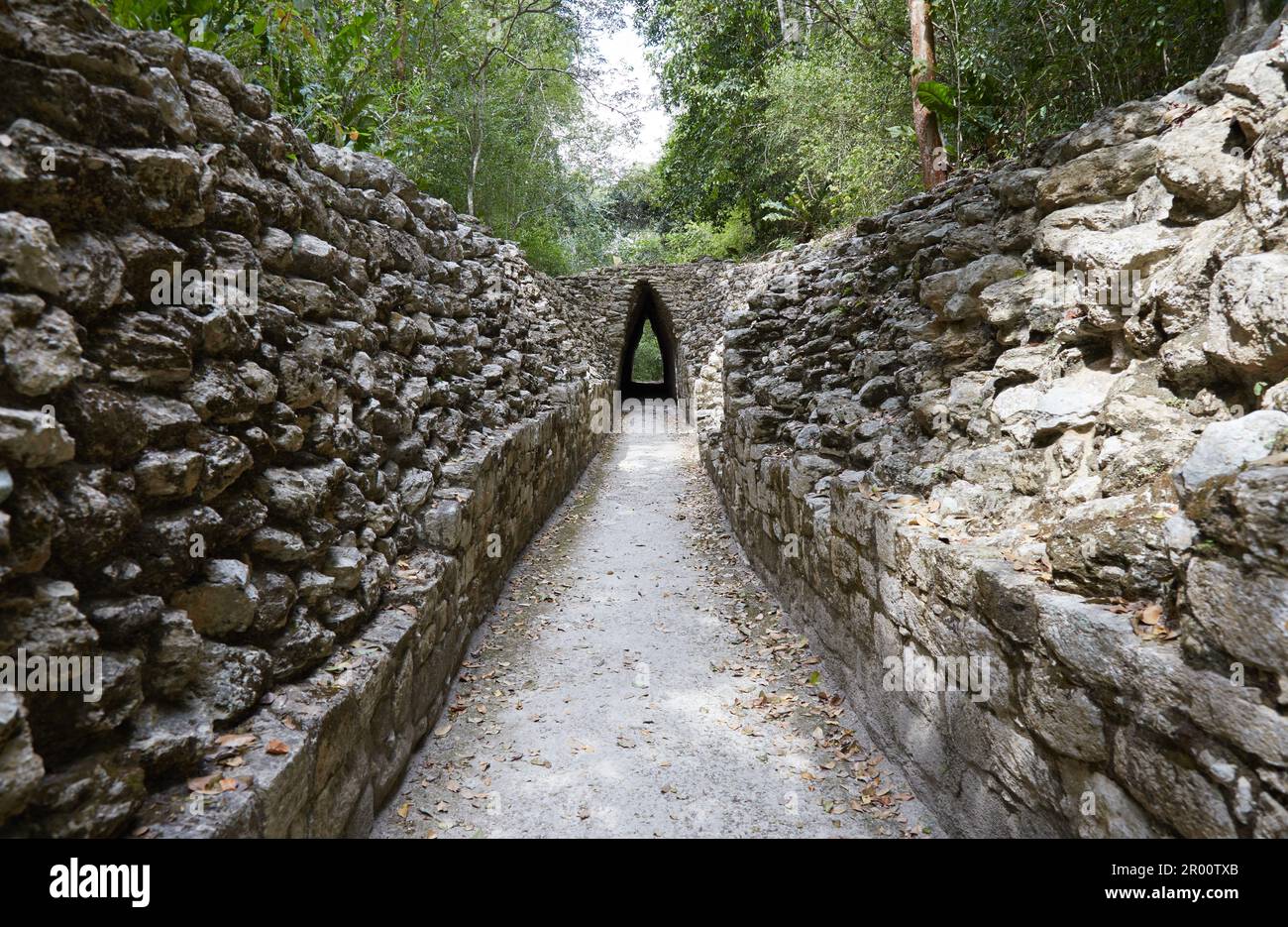 The Overlooked Mayan Ruins of Becan in Southern Campeche, Mexico Stock ...