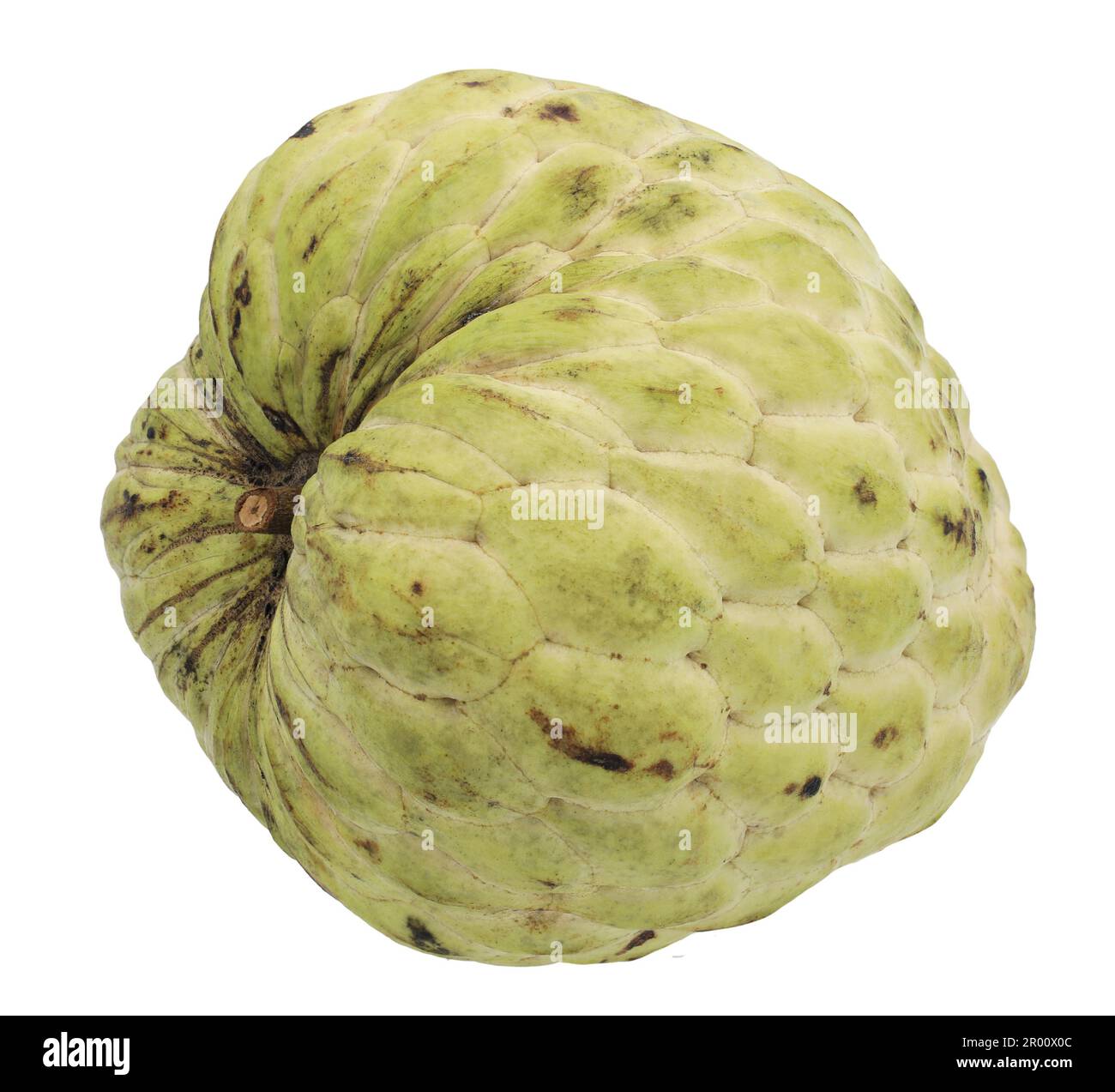 Custard apple or sugar apple isolated on white background Stock Photo ...