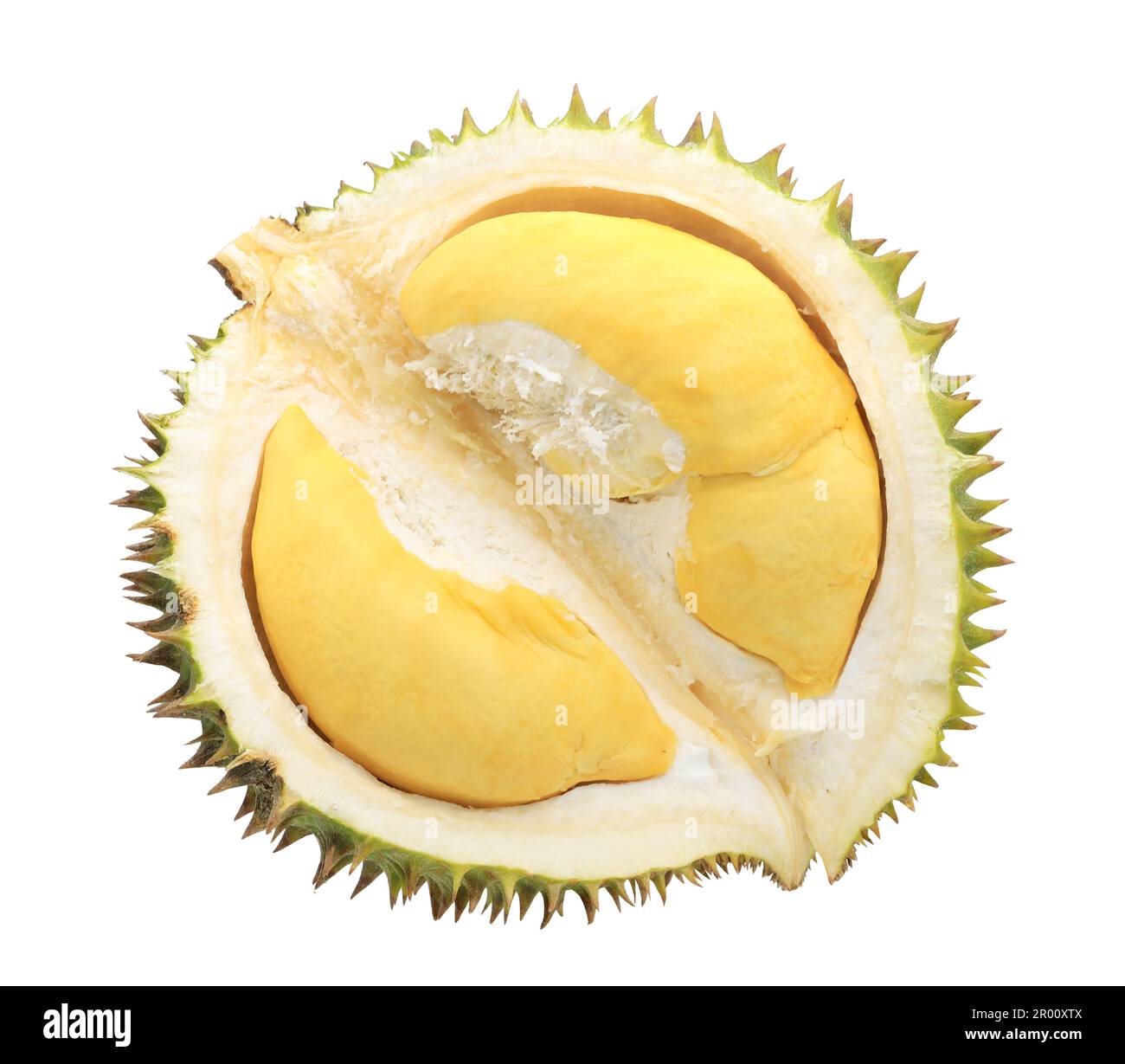 Durian fruit cut in half isolated on white background Stock Photo - Alamy