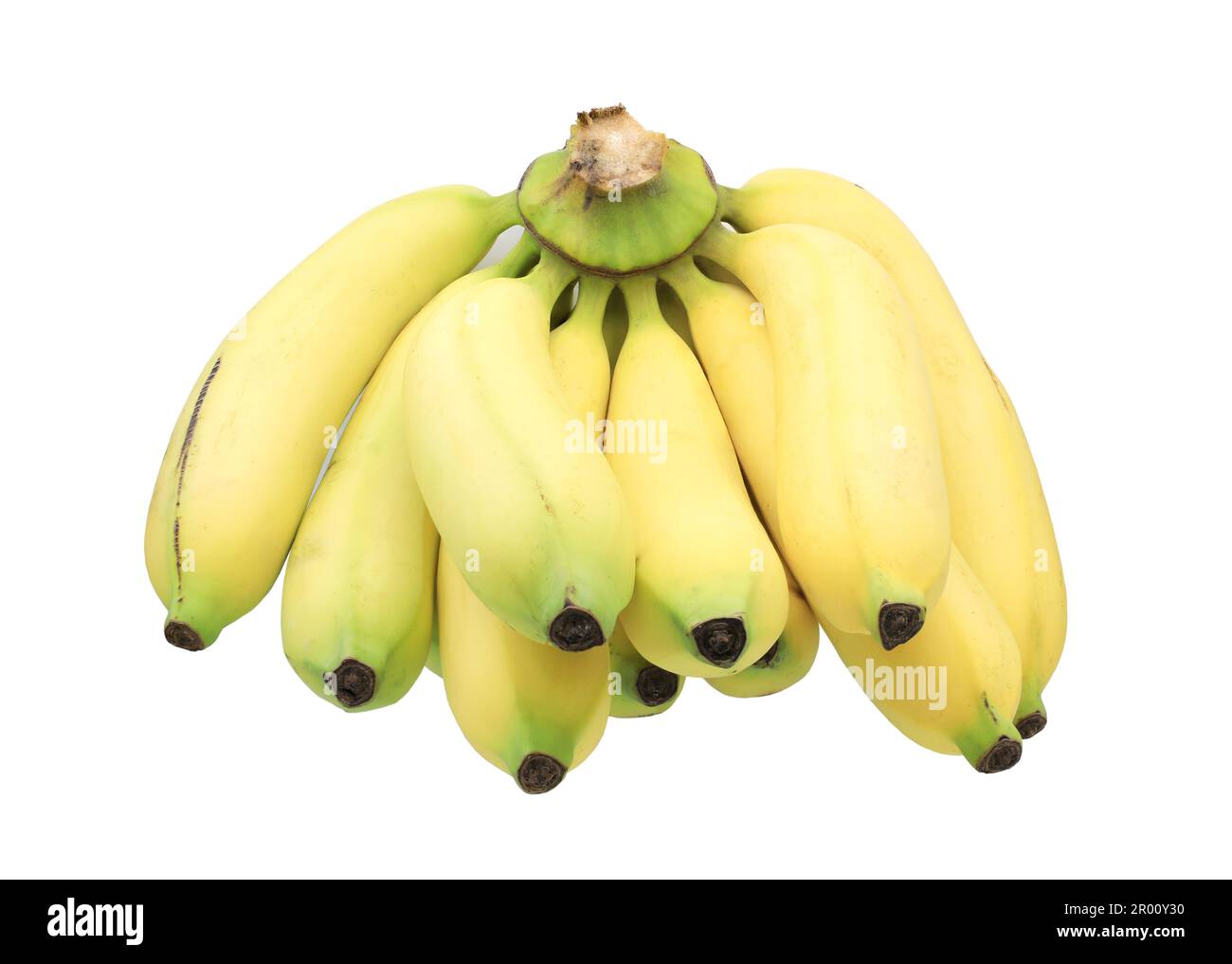 Bunch of ripe bananas isolated on white background with full depth of ...