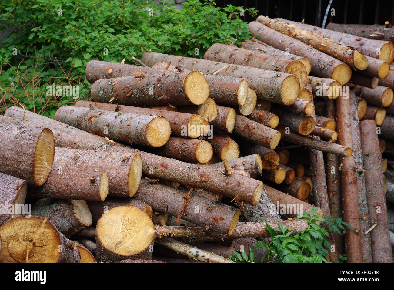 Pile logs in garden hi-res stock photography and images - Alamy