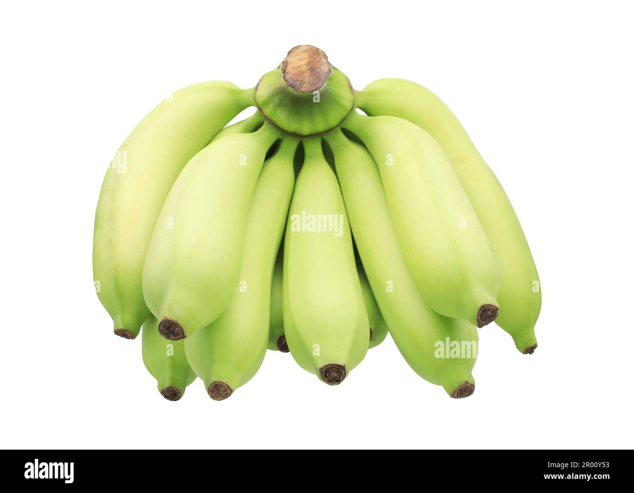 Comb of raw cavendish bananas isolated on white background Stock Photo ...