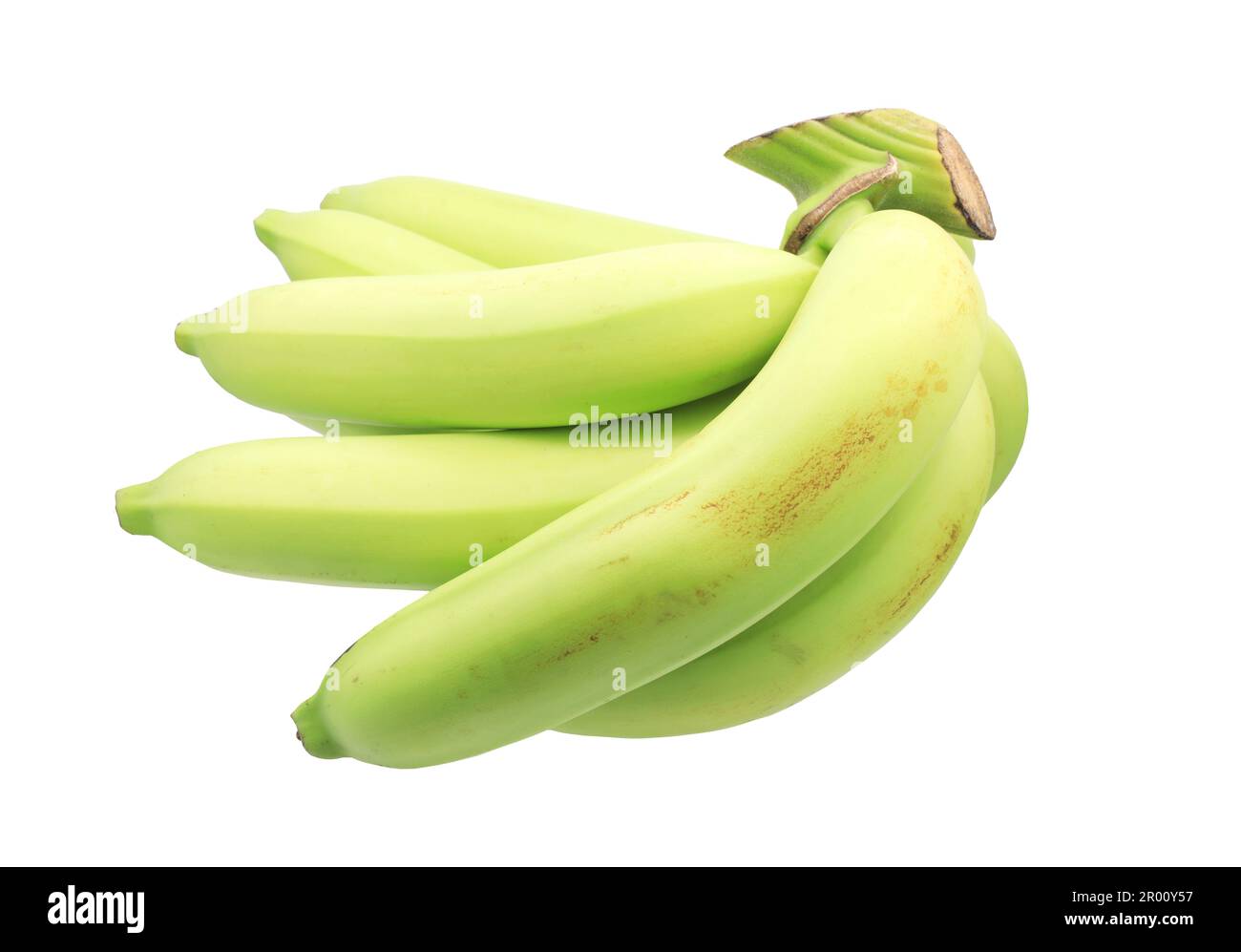 Comb of raw cavendish bananas isolated on white background Stock Photo ...